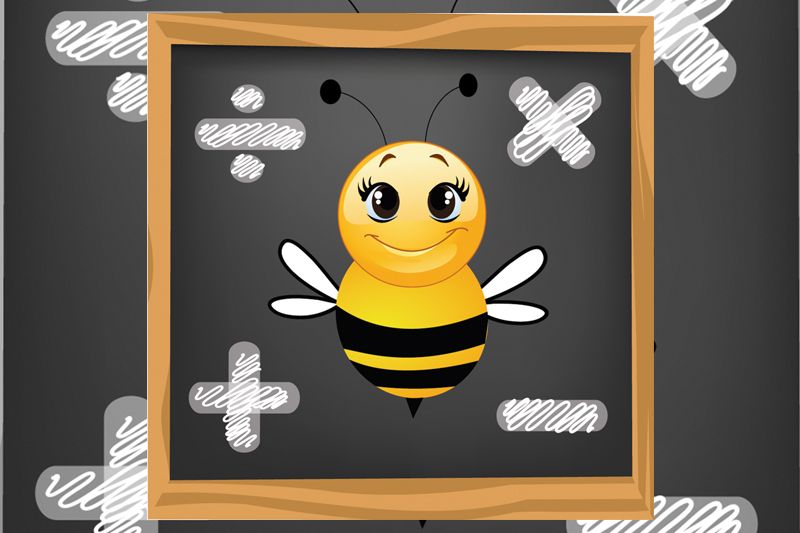 math-bee-at-the-johnson-community-library-july-15