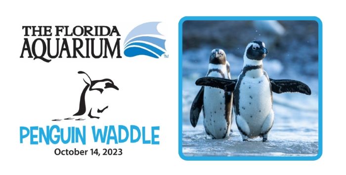 FREE: The Florida Aquarium Penguin Waddle