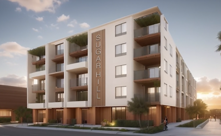 Sugar Hill development group reveals plans for Tangerine Plaza ...