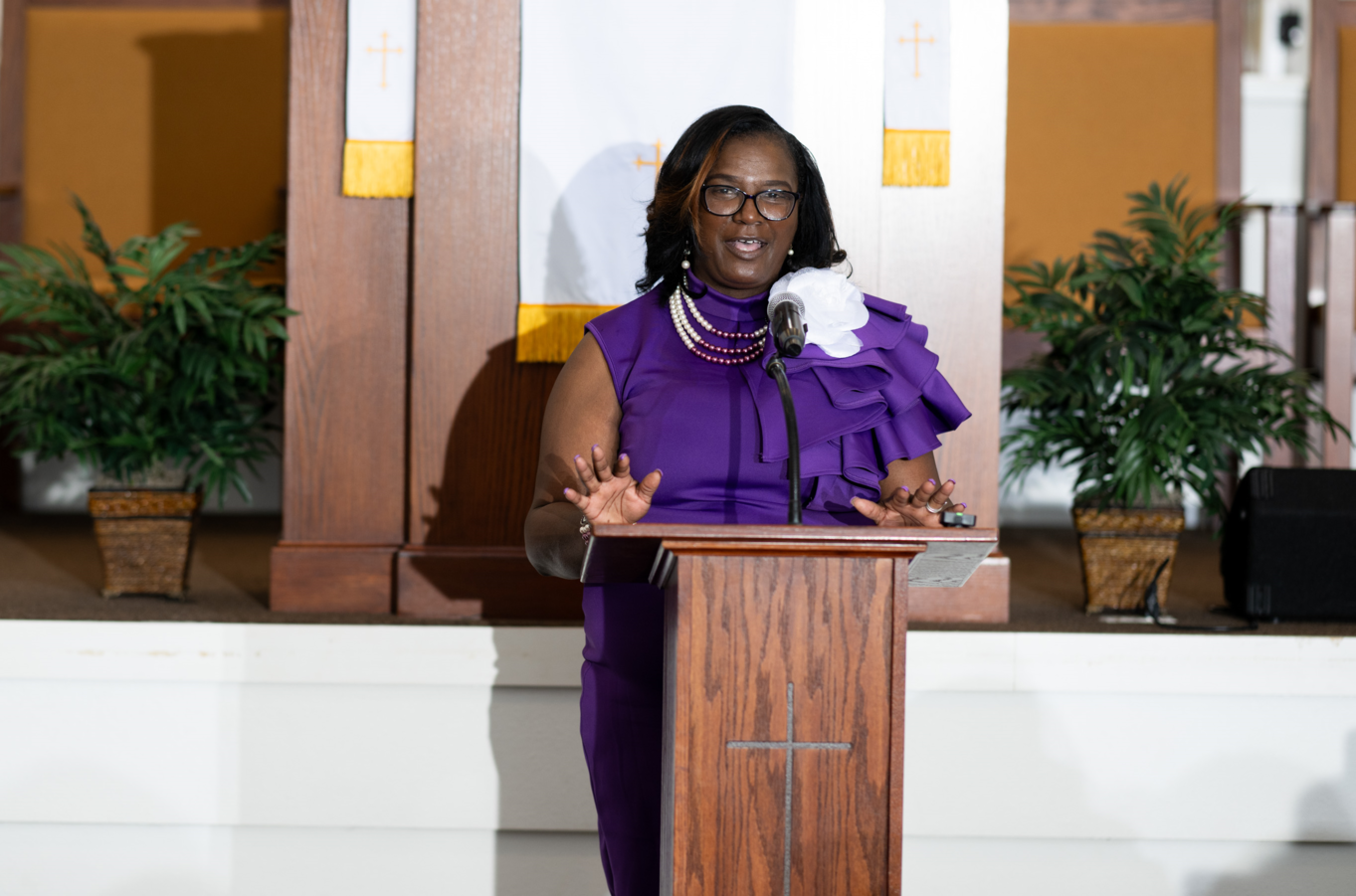 Community Tech advocate Lynn Harrell Johnson becomes president of NCNW